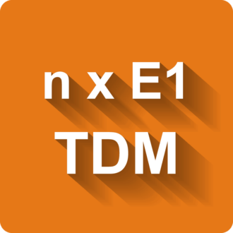 16 x E1 - 4 x Ethernet 10/100 BaseT converter | Home